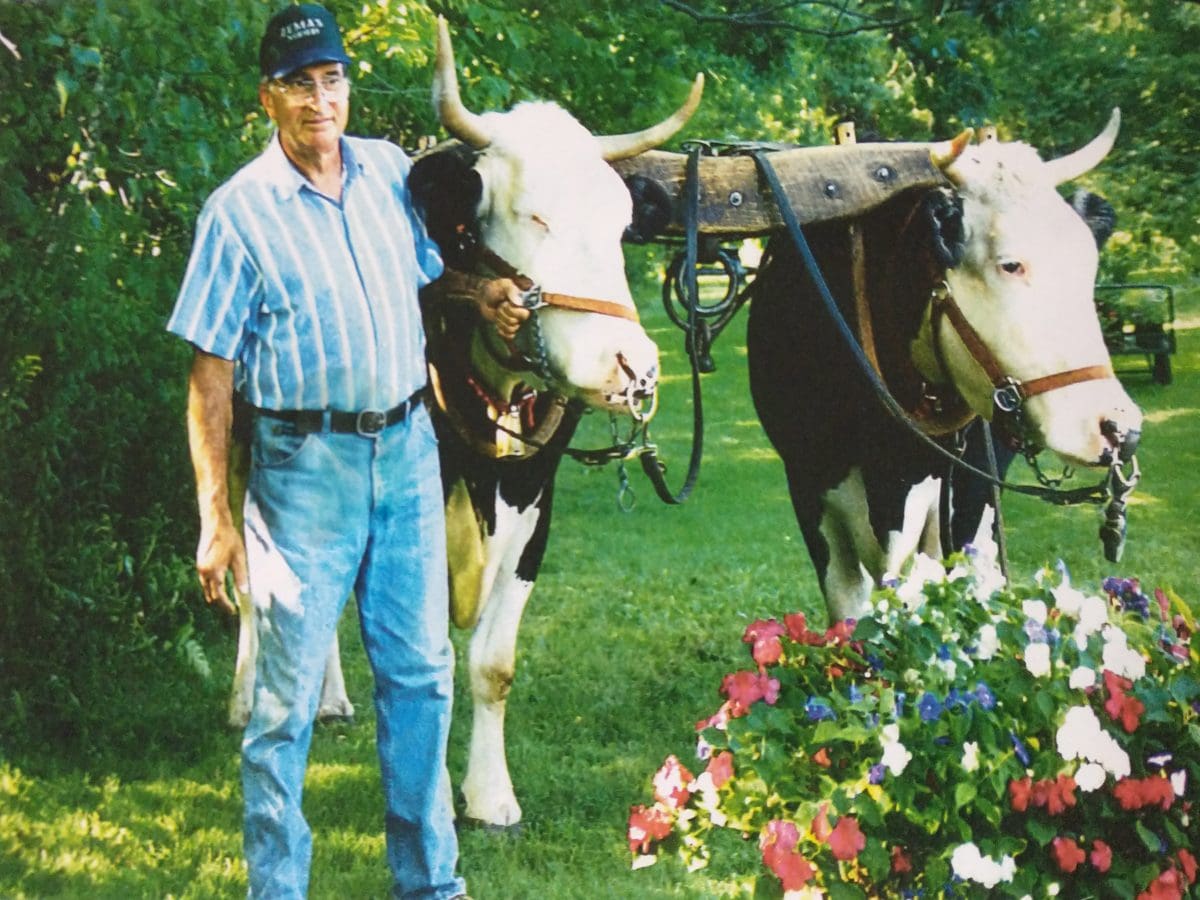 HOME - Zema’s Nursery